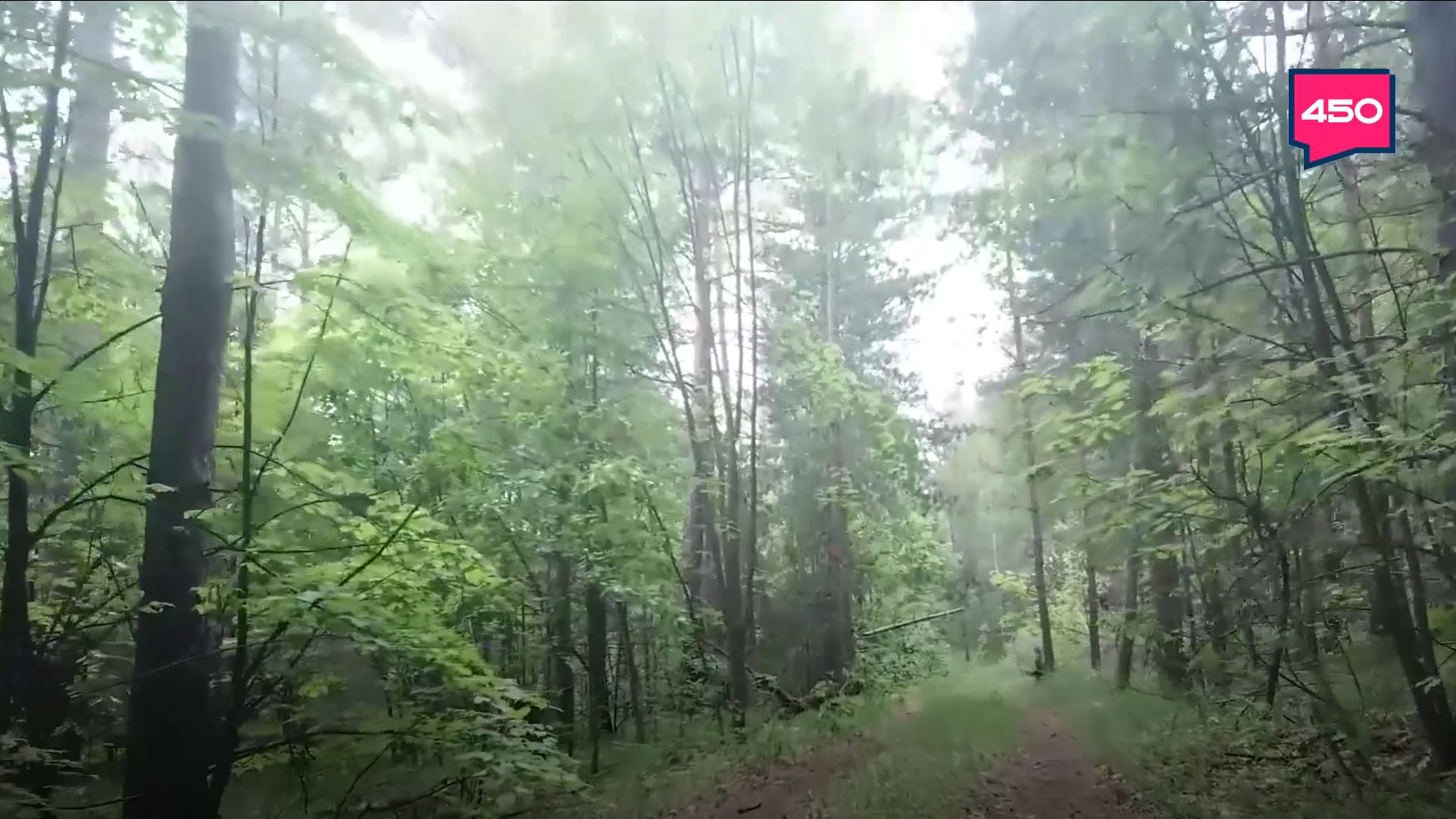 Развитие промышленности, защита от лесных пожаров и рождаемость в селах. Спецрепортаж