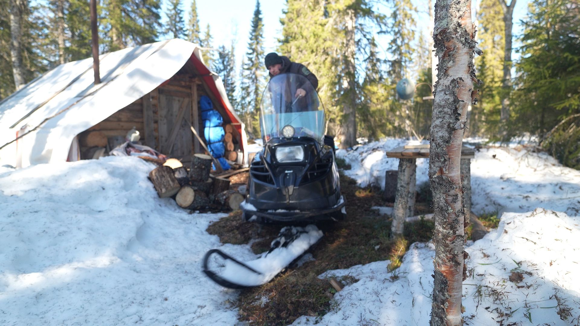 Весна. Крупный окунь. Живу на таёжном озере.