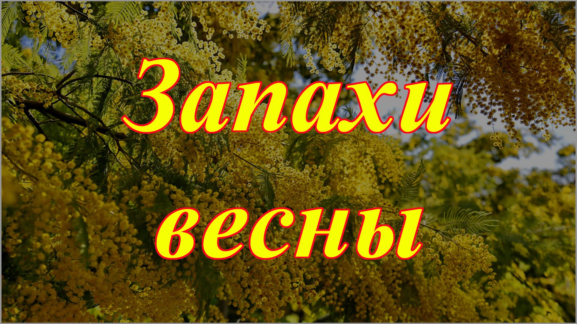 Запахи весны (2026)