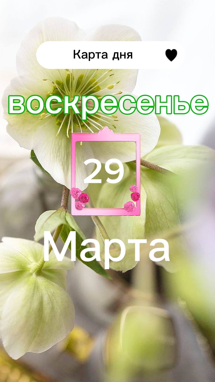 👑Королева кубков🏆Карта дня на 29-03-2026. Воскресенье.