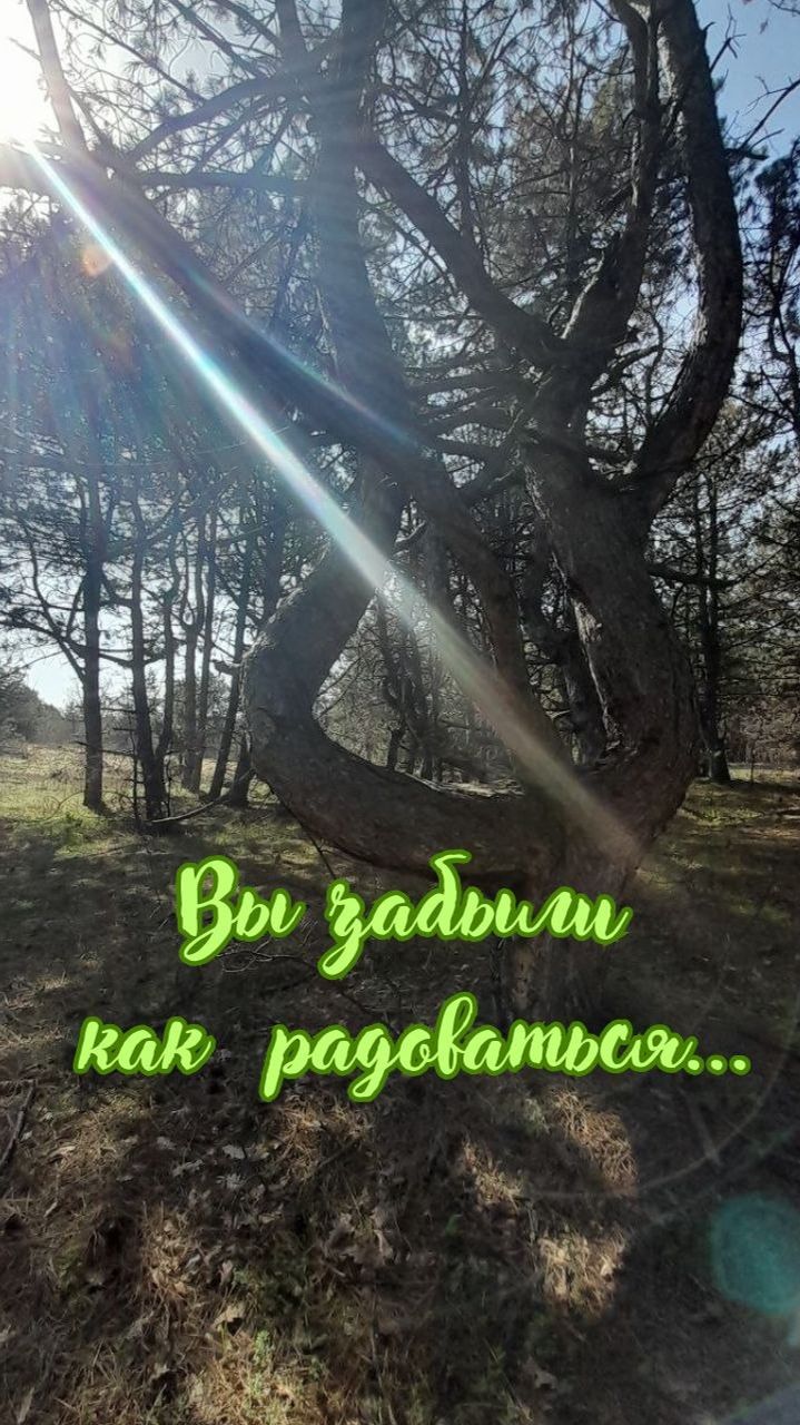 Вы забыли как радоваться. Энергоработа #вселеннаяя #энергоработа #параллельныемиры #радость