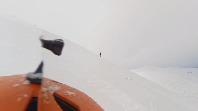 29 марта 2026. 41й с Алисой грядкой