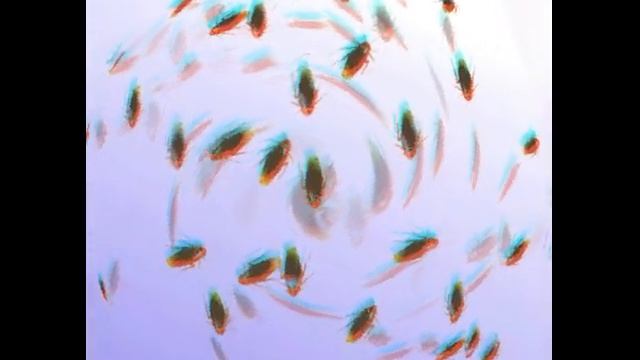 03. Стрелок
