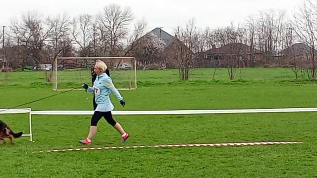 ЩЕНКИ СУКИ / КЧК КРАСНОДАР 28 марта`26 З.Данильченко Моно немецких овчарок