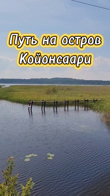 Карелия 2025. Остров Койонсаари. Июль 2025г (Часть 1)