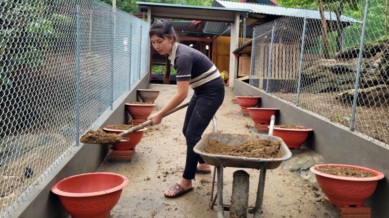 Линь соорудила место для цветочных горшков перед воротами, ведущими в дом. «Спокойная жизнь»