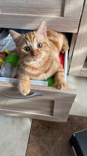 Ох уж эти кожаные