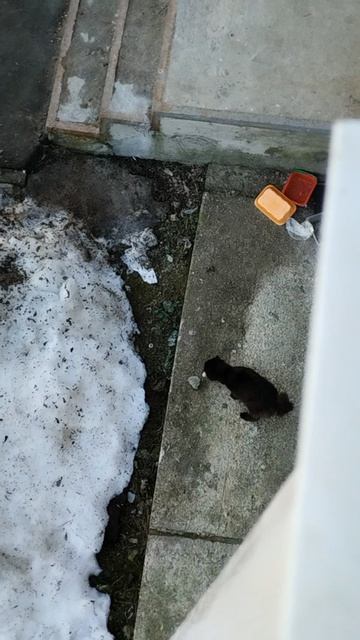 PXL_20260329_134140224