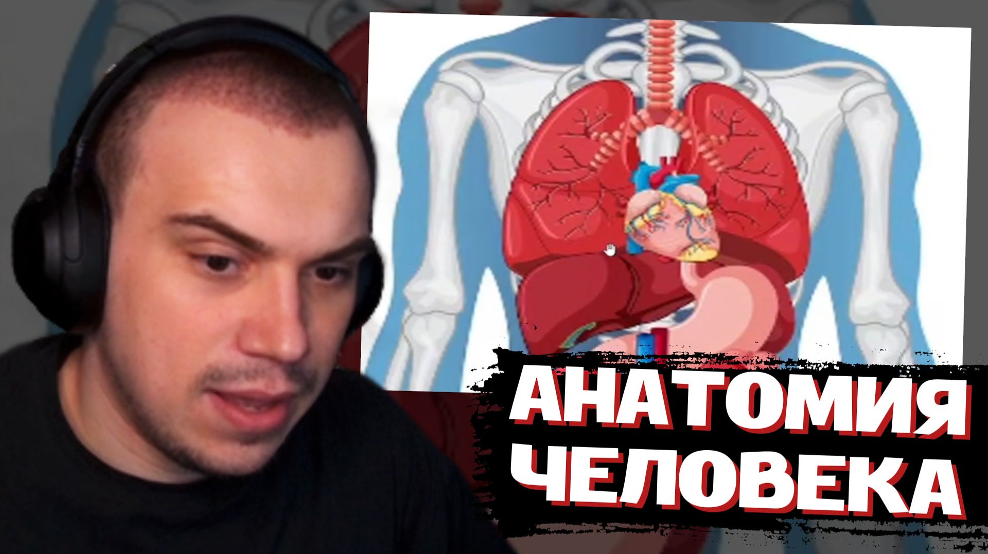 ГЛЕБ ИЗУЧАЕТ АНАТОМИЮ ЧЕЛОВЕКА с ВИТЕЙ | SASAVOT, formixyouknow