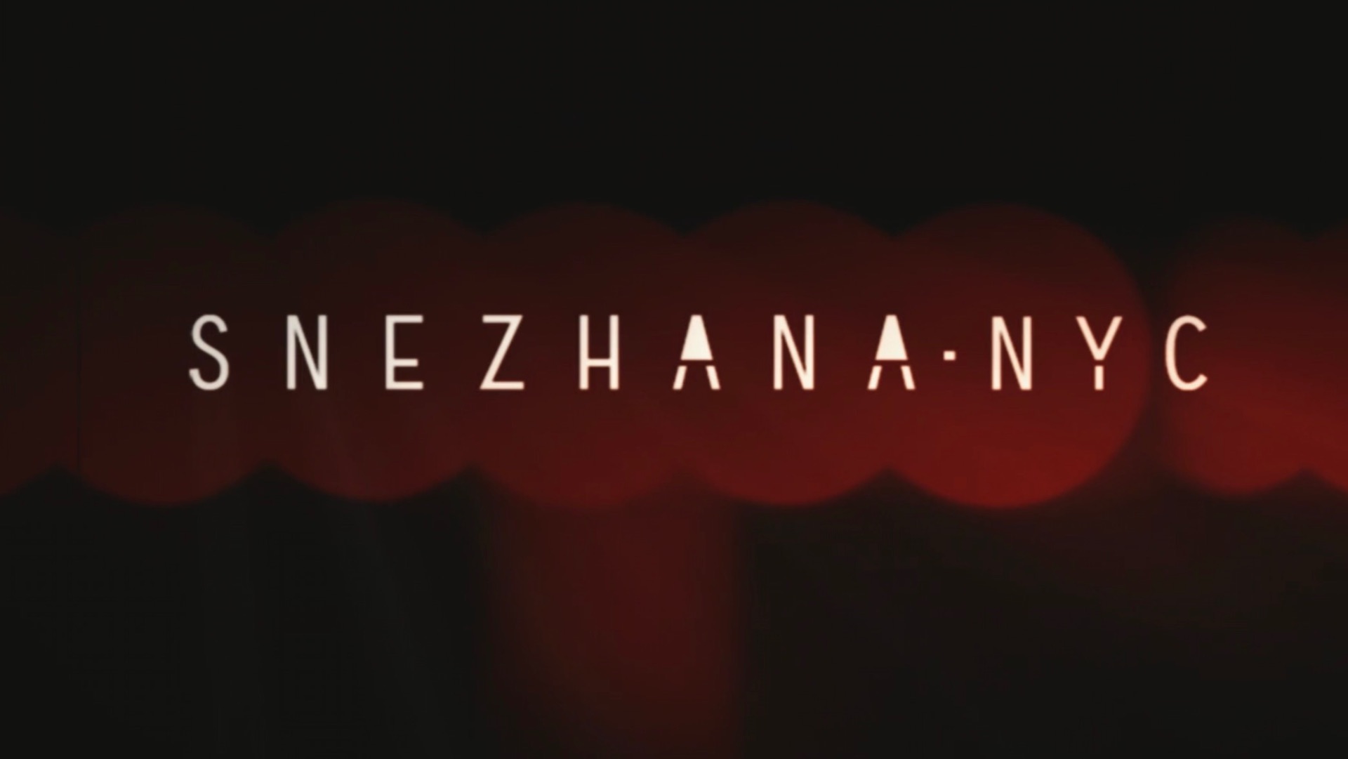 SNAZHANA.NYC - арт-художник в области моды и технологий