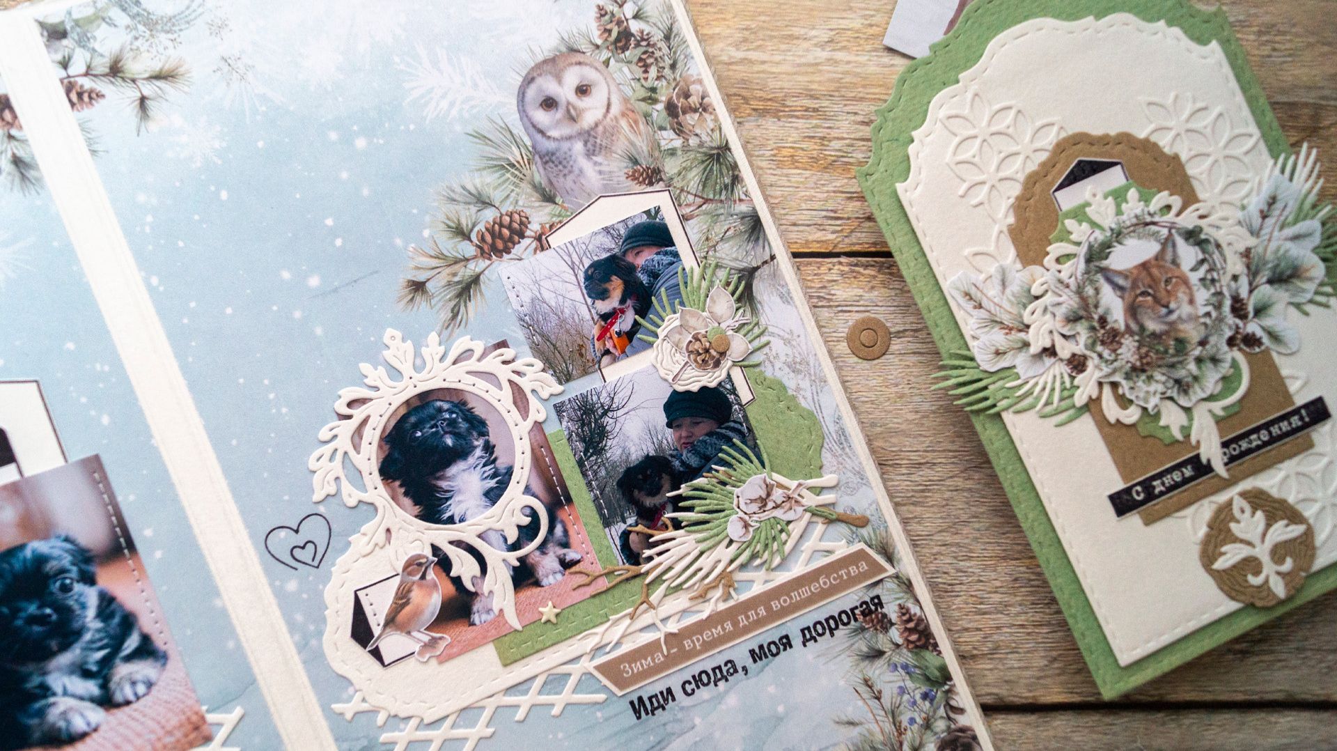 ОБЗОР ПОД МУЗЫКУ КРАТКИЙ | ЗИМНИЙ АЛЬБОМ О КЛЁПЕ | ОТКРЫТКА | СКРАПМАНИЯ | СКРАПБУКИНГ | ШТАМПЫ