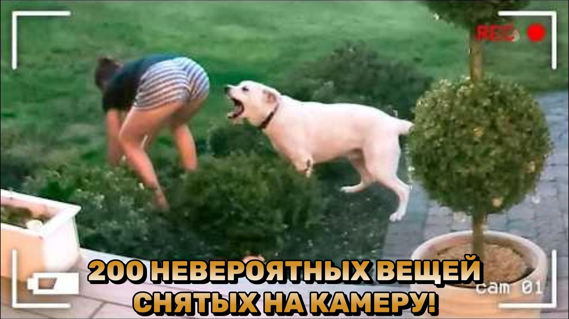 200 НЕВЕРОЯТНЫХ ВЕЩЕЙ, СНЯТЫХ НА КАМЕРУ!