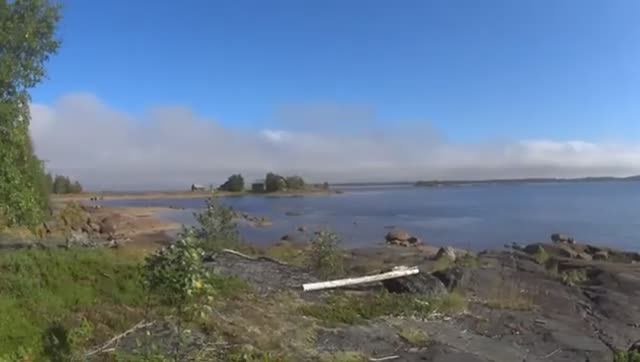 НАБРАЛ АРКТИЧЕСКОЙ МАЛИНЫ! ПРОВЕРИЛ ЛОВУШКУ НА РЫБУ В МОРЕ! АЙ ДА УЛОВ!