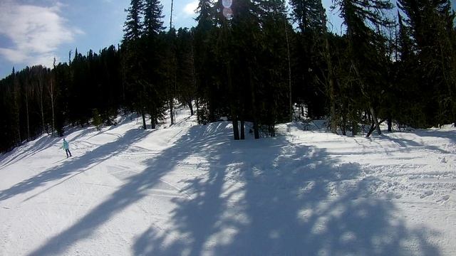 20260323_телецкое1