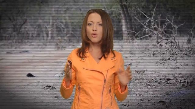 Лев, животное-чудак! Всё как у зверей!