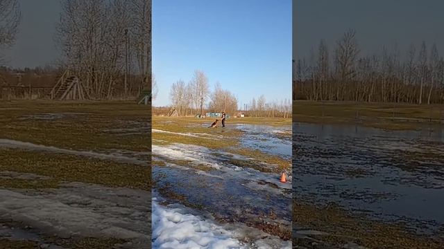 2.  выражено/перв MAJOR AUREUS MONS (Mio v. Team Huhnegrab – Dalla Aureus Mons)