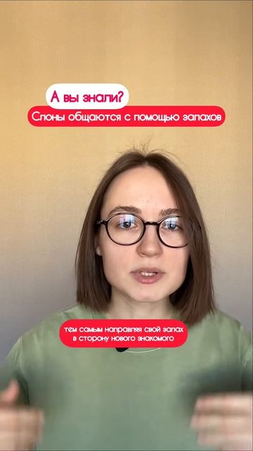 Знал, что у слонов есть такая способность? Подписывайся, узнаешь кучу необычных фактов про животных!