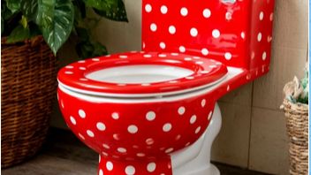 Меняем сливной механизм в бачке унитаза.