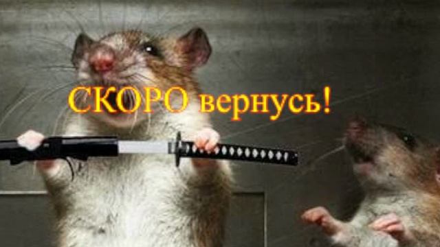 PUBG:  Мы рвались в ТОПы 1👍