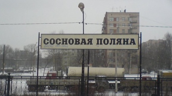 114 Сосновая поляна  Сигизмунд 1986-1987  стихи Алексей Семенов saman