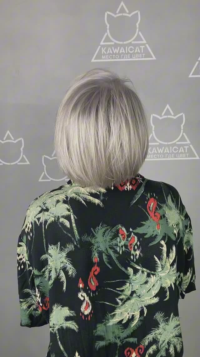 Прекрасный светло-серый оттенок, доступный не каждому. Но в Kawaicat исполняются мечты!