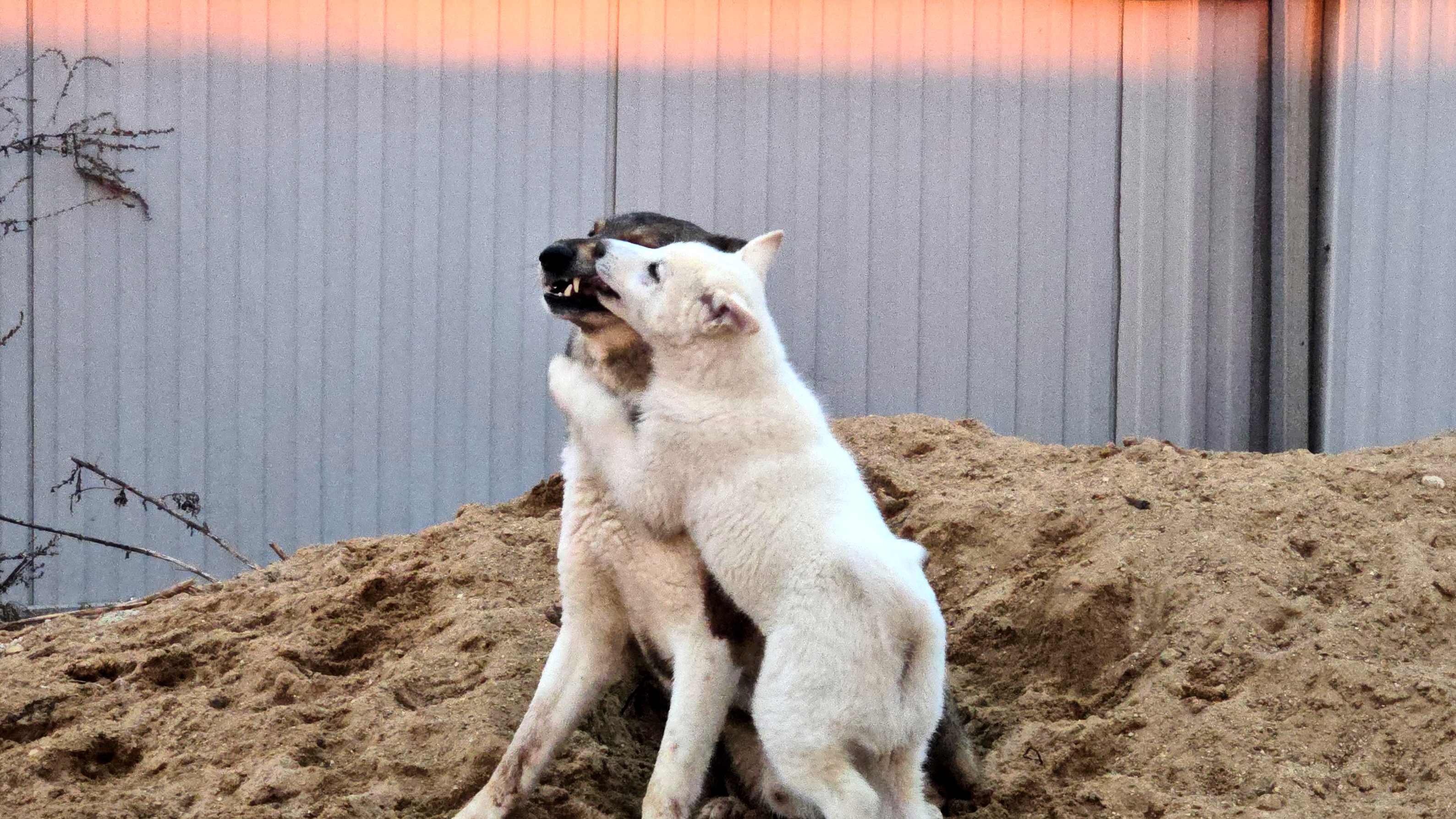 После разведки