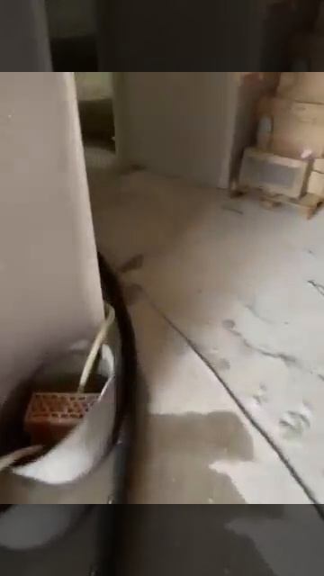 Растворонасос шнековый для мужиков и его возможности.