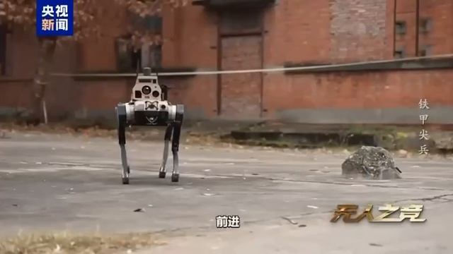 Псы Си Цзиньпина выходят на охоту