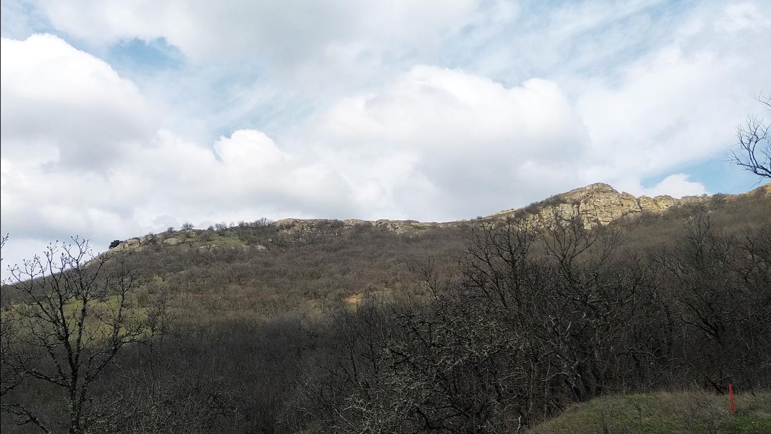 Поход по лесной дороге.