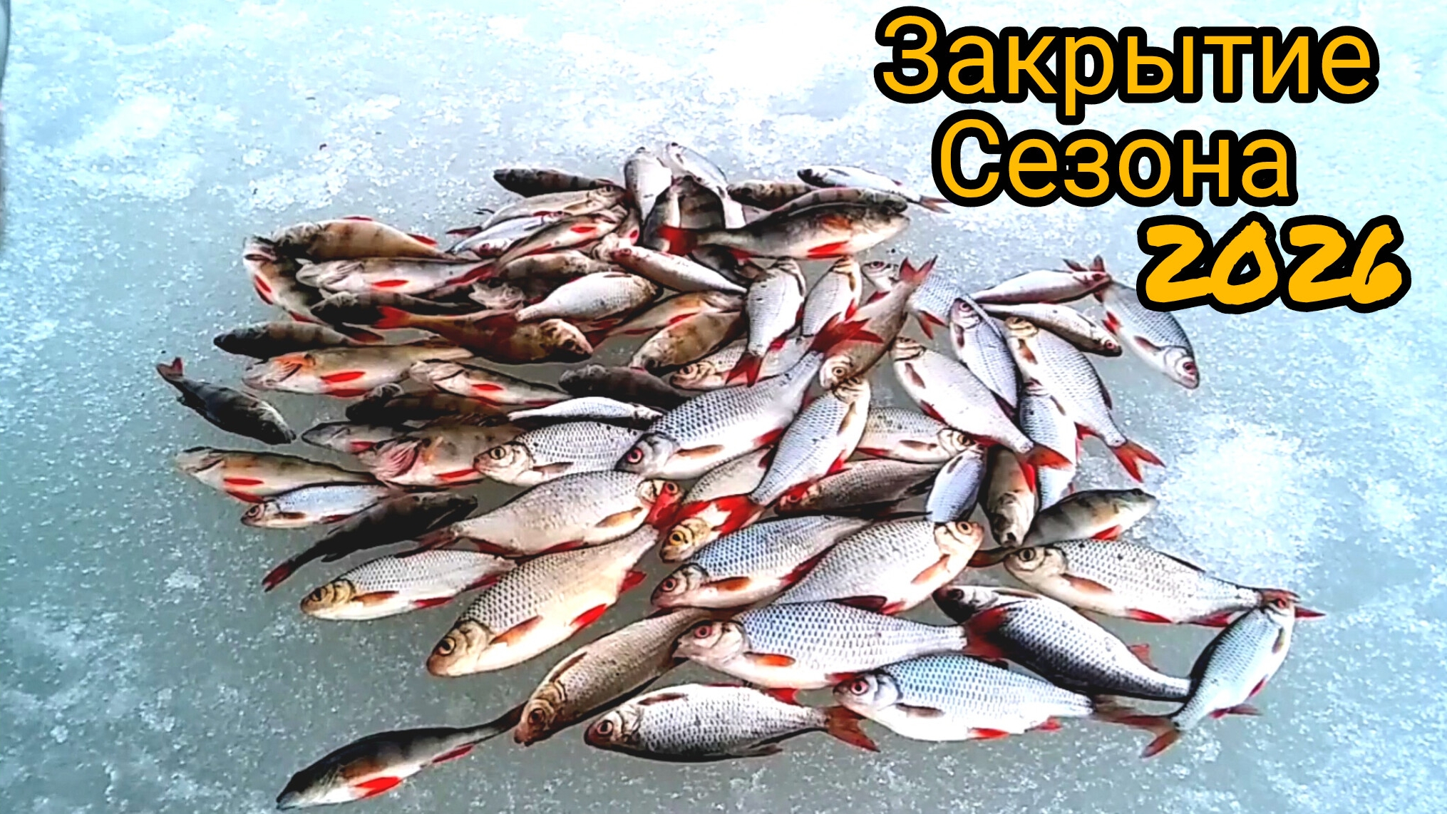 Закрытие зимнего  сезона 2026