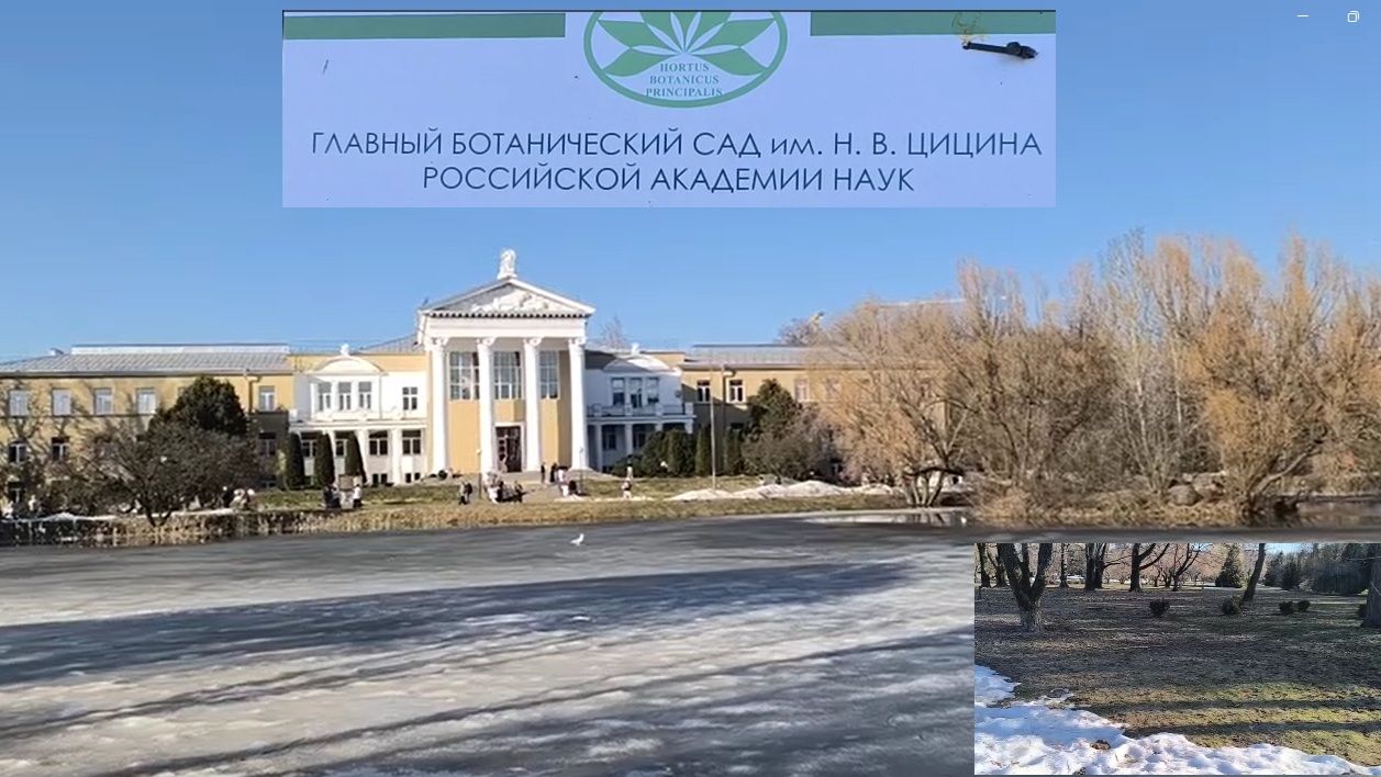 Ботанический сад. Главный ботанический сад имени Н.В. Цицина РАН в Москве. Прогулка, отдых, весна.