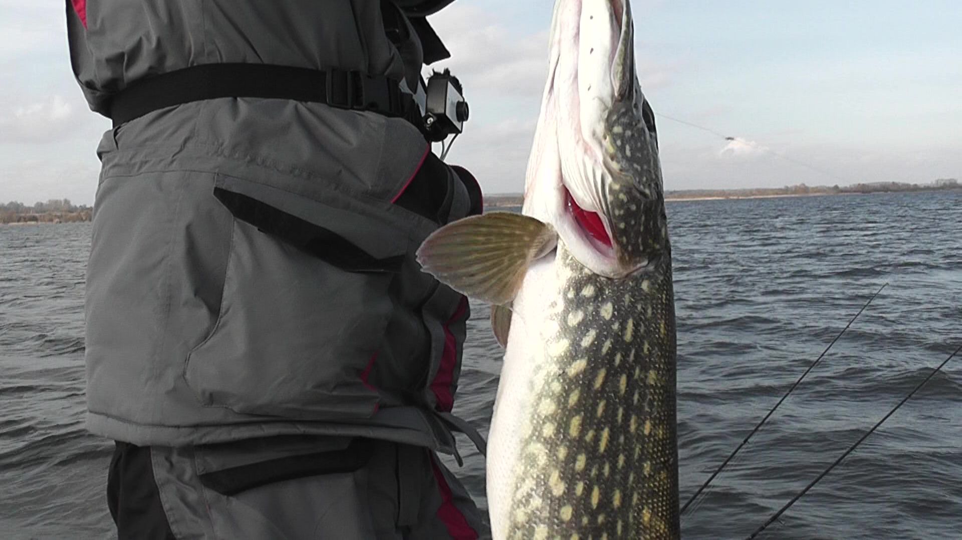 Щука перед нерестом. Рыбалка на спиннинг. Спиннинг весной.