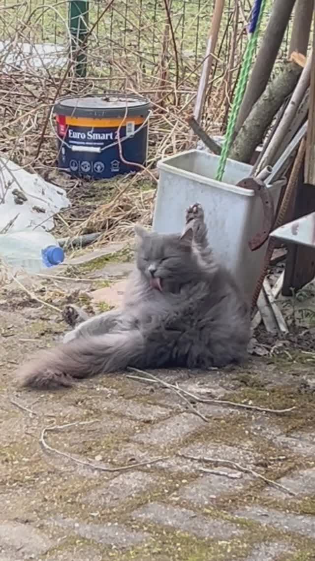 …заодно и радио послушаем