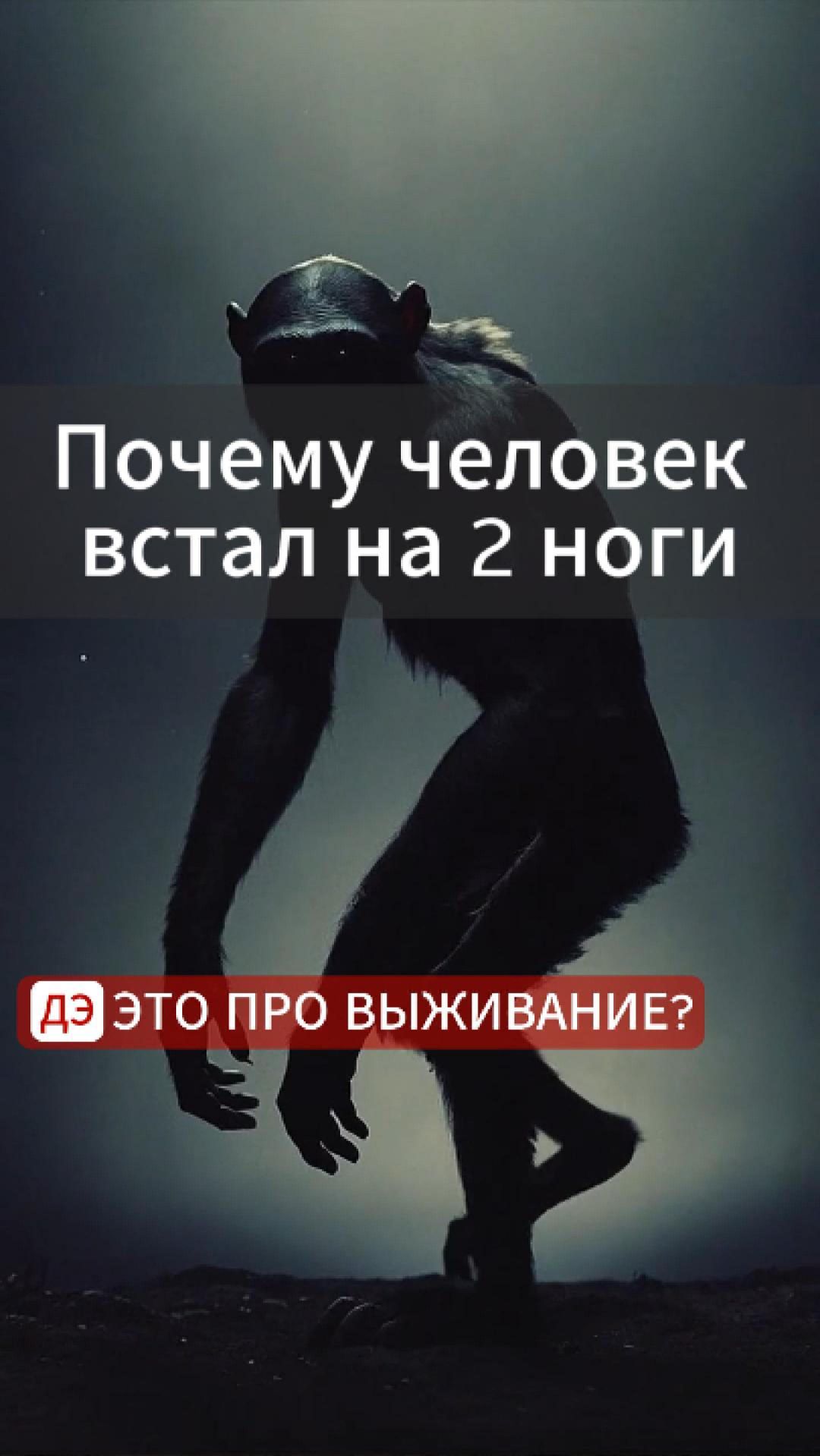 Почему человек встал на 2 ноги 😳 #эволюциячеловека #познавательно