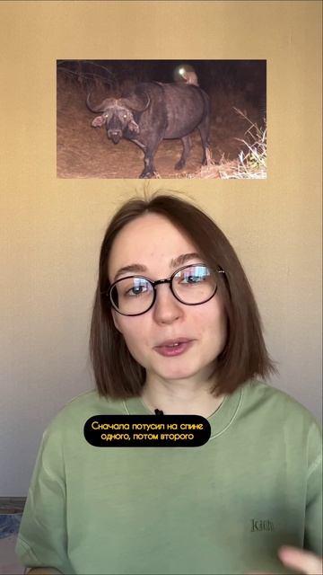 Совершенно уникальный случай😀 Подписочку оформляем, да?