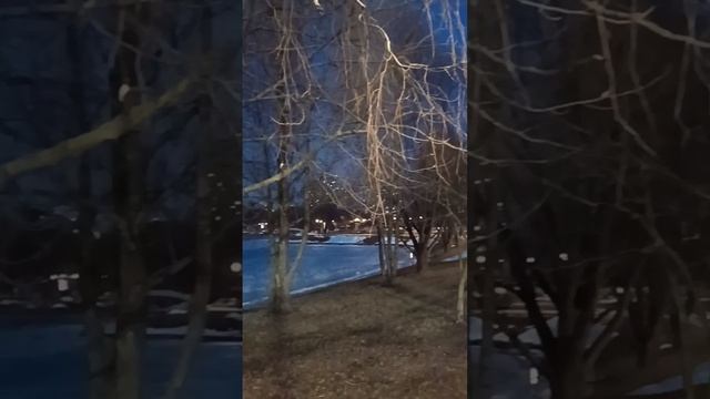 Парк Дружбы, метро Речной вокзал. МОСКВА...