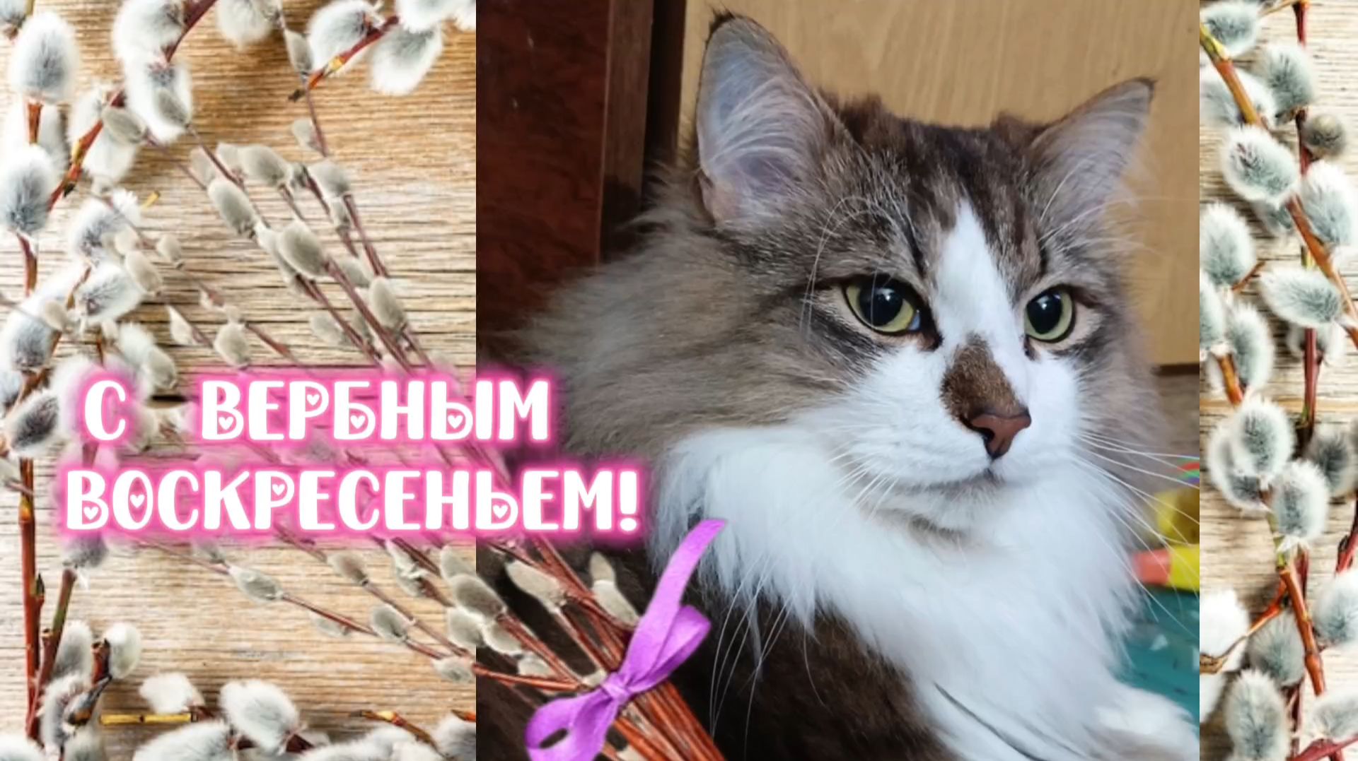 5 апреля ВЕРБНОЕ ВОСКРЕСЕНЬЕ! Поздравления с Вербным Воскресеньем!