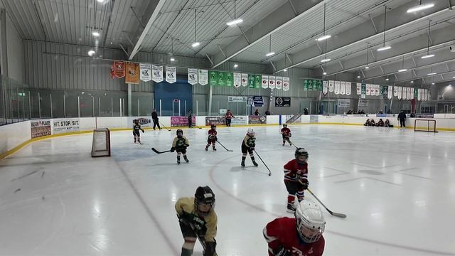 4 года. Домашняя Лига Хоккей в Канаде