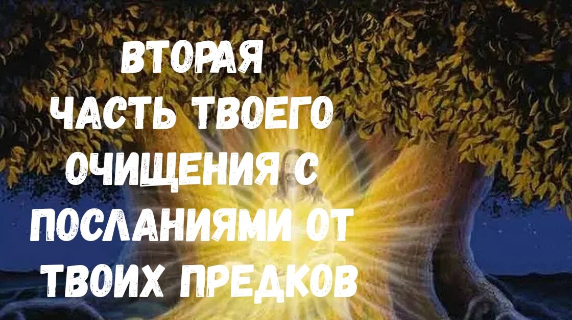 ВТОРАЯ ЧАСТЬ ТВОЕГО ОЧИЩЕНИЯ С ПОСЛАНИЯМИ ОТ ТВОИХ ПРЕДКОВ