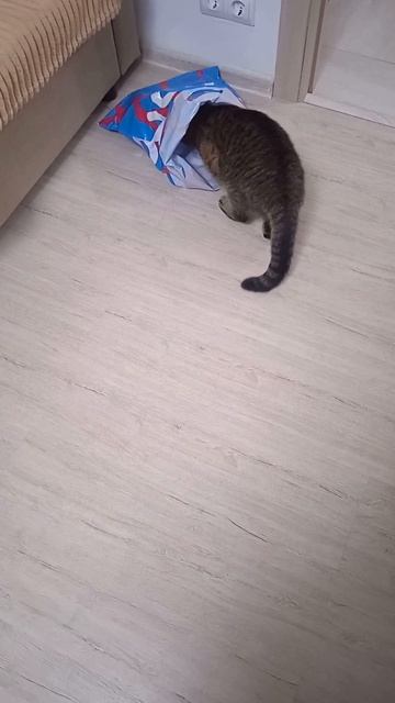 Кажется что-то купили и мне