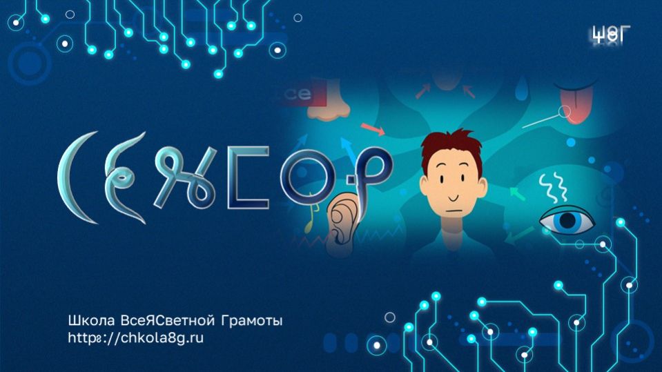 Сенсор. Этимология. ВсеЯСветная Грамота