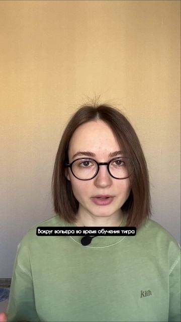 Почему к тиграм нельзя заходить, если ты испытываешь страх? Подписывайся на факты про животных;)