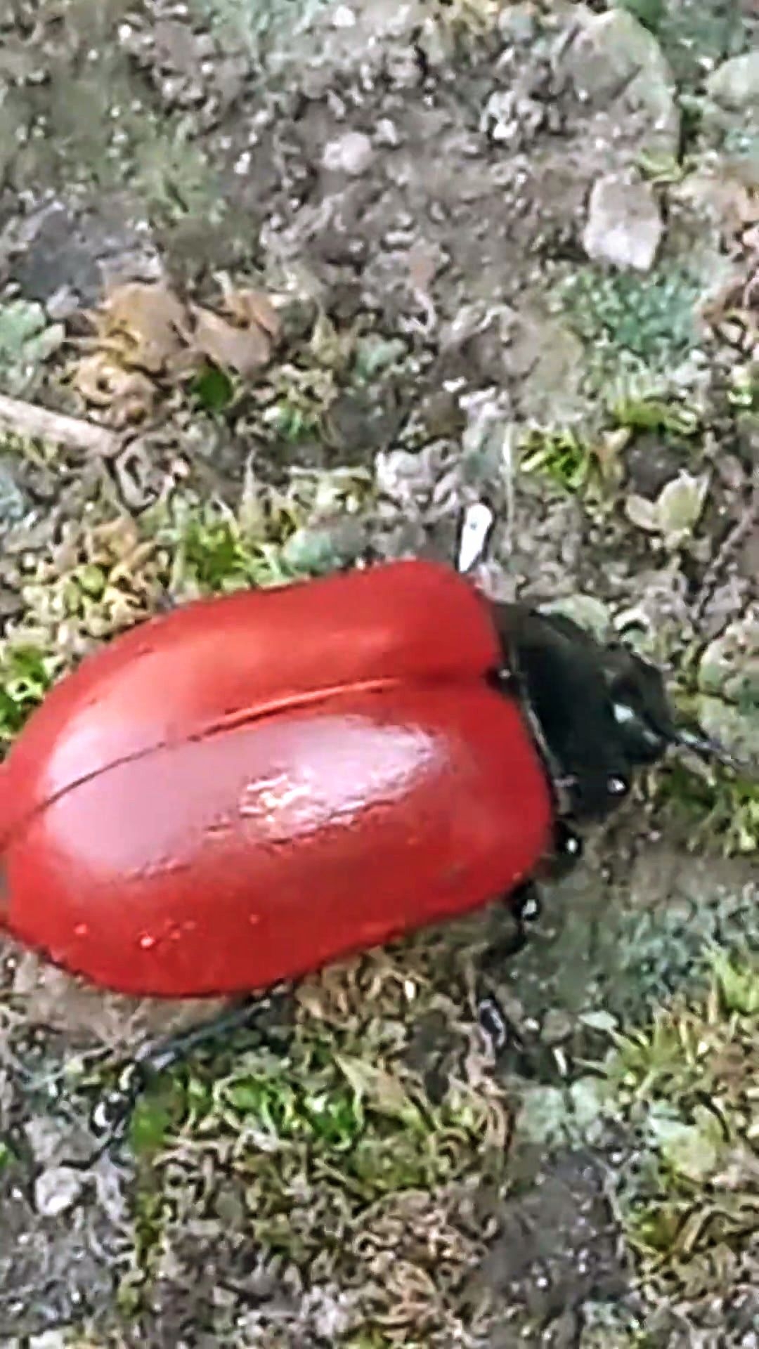 Весна! Солнечного настроения!  29-03-2026