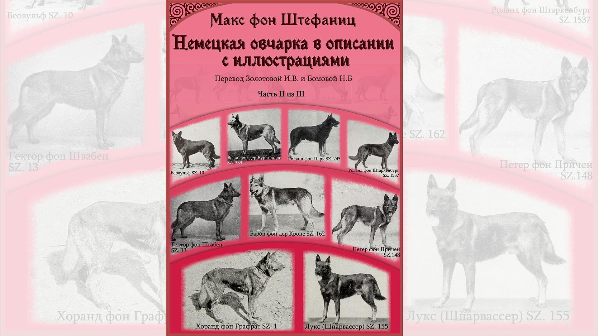 2_2 Ознак фрагмент Макс фон Штефаниц Немецкая овчарка в описании с иллюстрациями