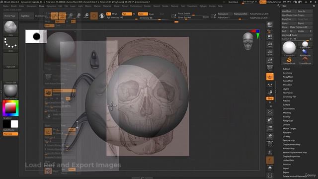 11. Load Reference and Export Images