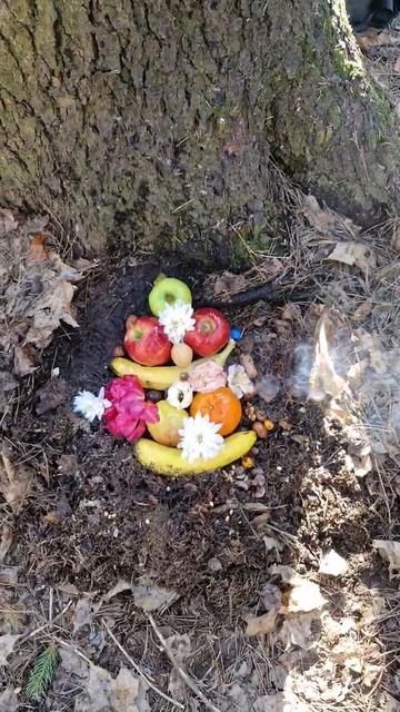 Март 2025 Афренда 4