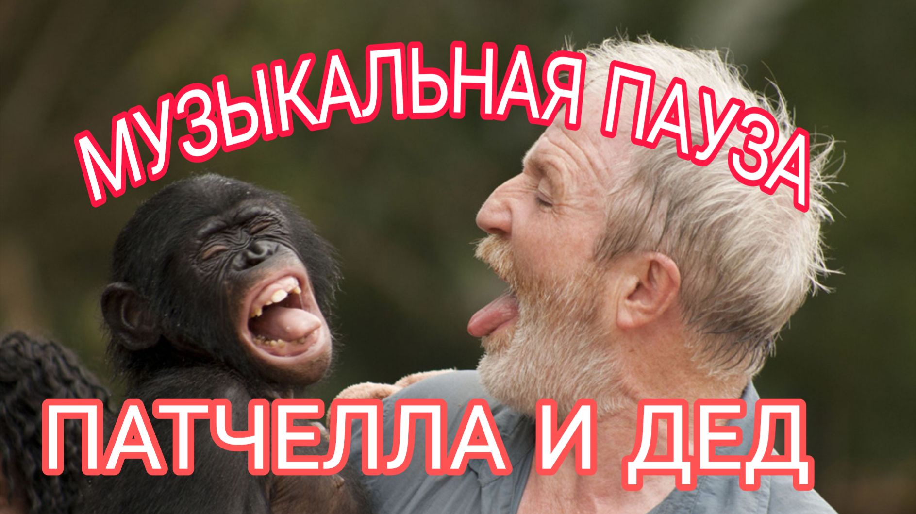 Про Патчеллу и Домосера