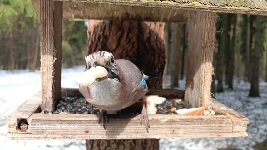 Экотерапия 76 серия.