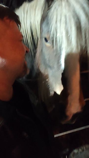 Опилки 3, Конный двор, Щелковский район, поселок Образцово.