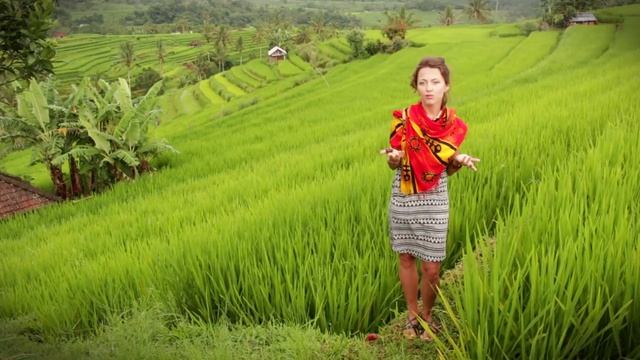 Давайте по справедливости-альтруисты против халявщиков! Всё как у зверей!